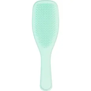 TANGLE TEEZER Ultimate Detangler Hairbrush For Fine & Fragile Mint