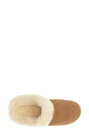 Acorn Genuine Shearling Mule Slipper