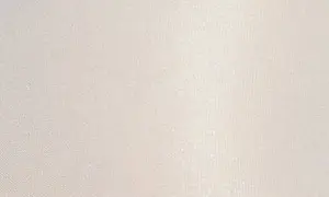 Natori Shimmer Sheer Tights - Silver