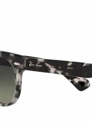Ray-ban Orion Round-frame Sunglasses