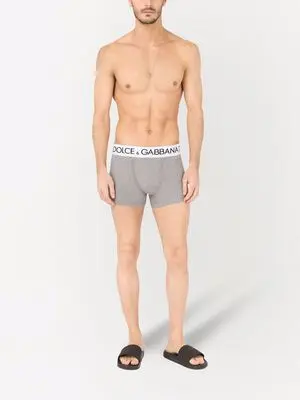 Dolce & Gabbana Logo-waistband Boxer Briefs - Grey