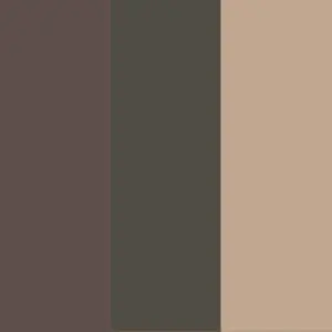 SUQQU 3d Control Eyebrow Palette - Brown