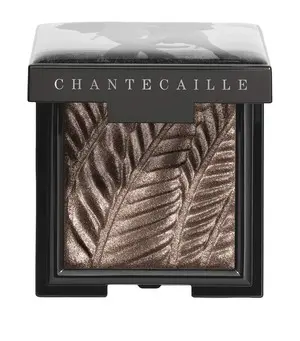 CHANTECAILLE Chantecaille Elephant Luminous Eye Shade Grey