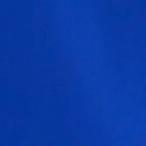 Polo Ralph Lauren Traveller Swim Shorts - Blue