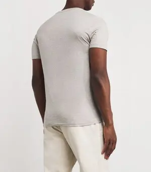 Polo Ralph Lauren Logo T-shirt - Grey