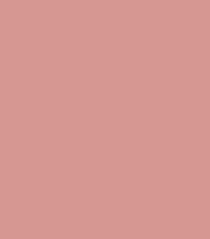 LANCOME Blush Subtil - Pink