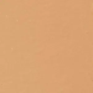 SHISEIDO Synchro Skin Powder Foundation