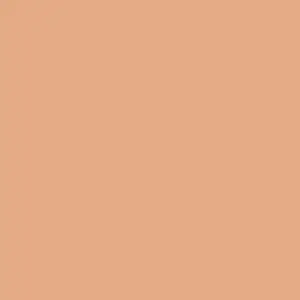 WESTMAN ATELIER Vital Skin Foundation Stick - Beige