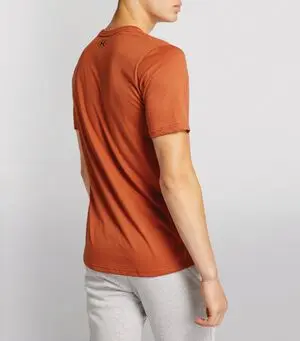 Under Armour Project Rock Iron Paradise T-shirt