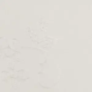 Simone Perele Embroidered Wish Tanga - Ivory