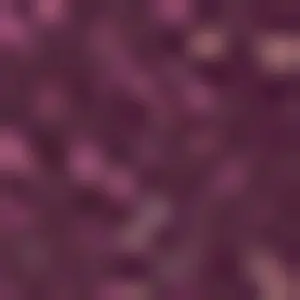 SENSAI Total Lip Gloss - Black