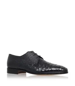 STEMAR Ostrich Derby Shoes - Black