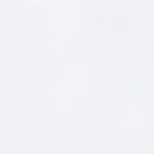 Hanro Cotton Seamless Tank Top