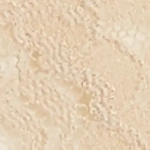 Hanky Panky Signature Lace Boyshorts - Nude
