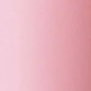 ERBORIAN Pink Blur Stick