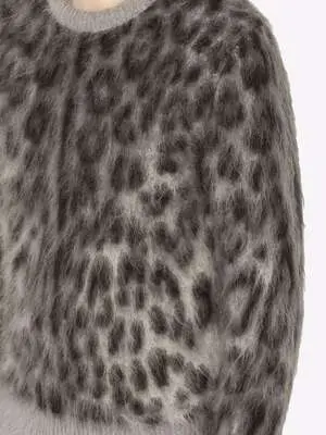 Dolce & Gabbana Leopard-print Jumper