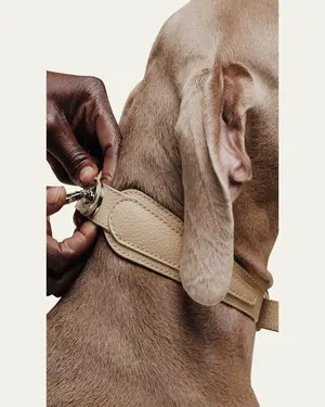 PAGERIE The Dorro Dog Collar - Sand