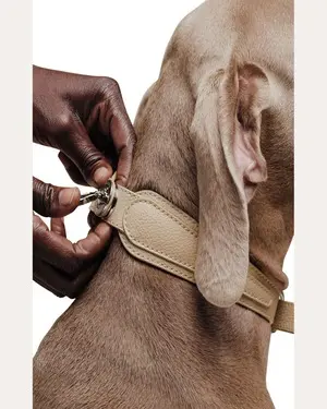 PAGERIE The Dorro Dog Collar - Sand