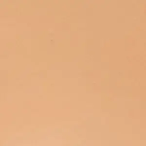 SHISEIDO Synchro Skin Self Refreshing Tint Spf 20