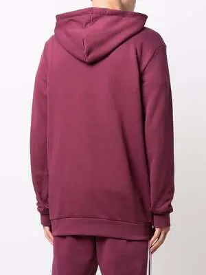 Adidas Adicolor Classics Trefoil Hoodie