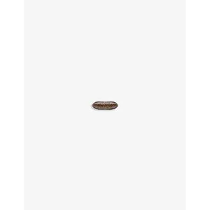 MAC COSMETICS 263 Small Angle Brush