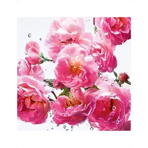 Dior Miss Rose N'roses Roller Pearl Eau De Toilette