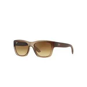 Ray-ban Ray-Ban Sunglasses Brown Demi Gloss