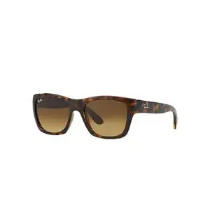 Ray-ban Ray-Ban Sunglasses Light Havana