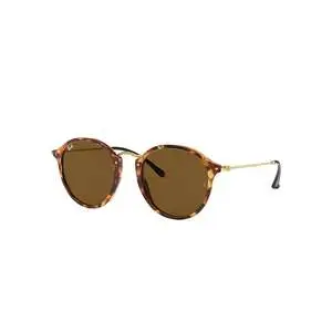 Ray-ban Round Fleck Sunglasses Frame Green Lenses