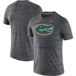 Nike Florida Gators Big & Tall Velocity Performance T-shirt