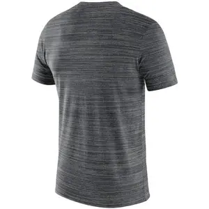 Nike Florida Gators Big & Tall Velocity Performance T-shirt