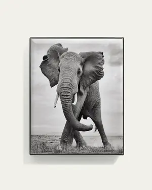 CHANTECAILLE Luminescent Eye Shades - Elephant
