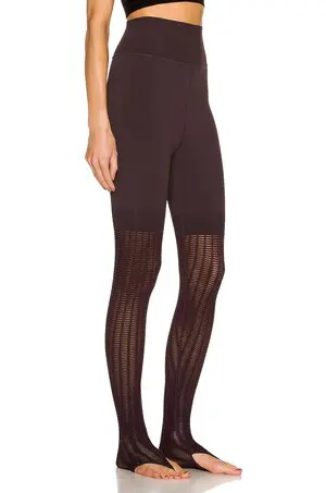 Alaïa Lace Legging In Black - Aubergine