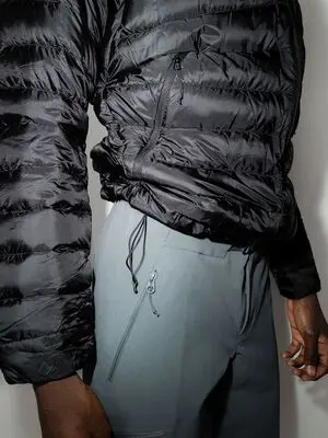 Arc'teryx Cerium Hooded Puffer Jacket