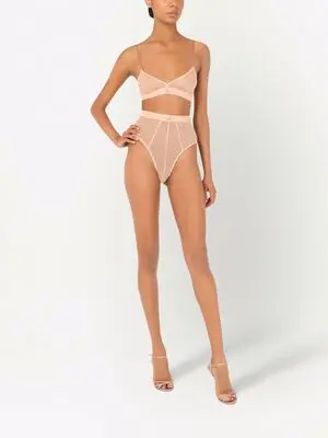 Dolce & Gabbana Dg-logo Tulle Triangle Bra - Neutrals