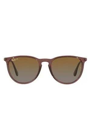 Ray-ban Erika Classic Sunglasses - Transparent Brown