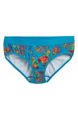 TOMBOYX Iconic Briefs Rainbow Fish