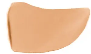 SHISEIDO Synchro Skin Self-refreshing Concealer