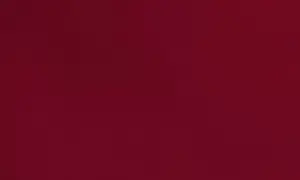 Dress The Population Paris Ruffle Strapless Mermaid Gown - Garnet