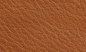 Shinola Leather Card Case - Tan