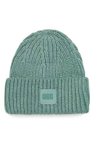 UGG UGG Chunky Ribbed Beanie Aloe Vera