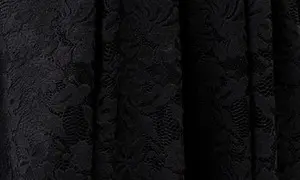 GIBSONLOOK Lace Midi Skirt