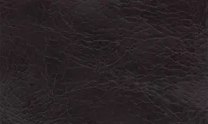 Hobo Rachel Leather Frame Wallet