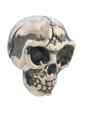 Yohji Yamamoto Skull Earring