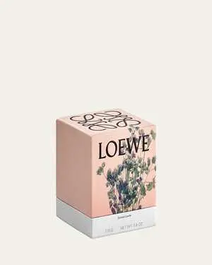 Loewe Oregano Candle, 5.8 Oz
