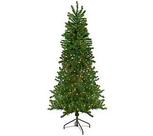 NORTHLIGHT 7.5' Prelit Canadian Pine Christmas All Tree - One-color