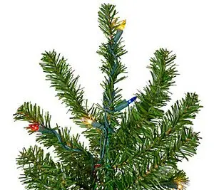 NORTHLIGHT 7.5' Prelit Canadian Pine Christmas All Tree