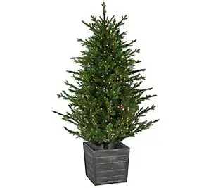 NORTHLIGHT Norhtlight 6' Pre-lit Potted Deluxe Russian Pin Tree - One-color