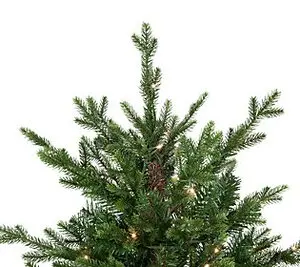 NORTHLIGHT Norhtlight 6' Pre-lit Potted Deluxe Russian Pin Tree