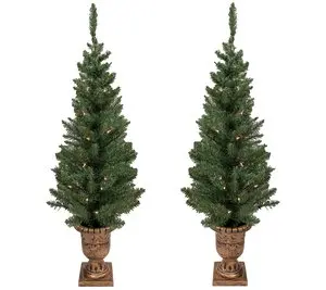 NORTHLIGHT S/2 Pre-lit Potted Pine Topiary Slim Trees 4 - One-color